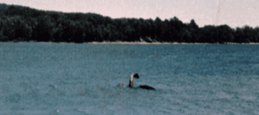 The Legend of Champ - Fact or Fiction? | Critter Science